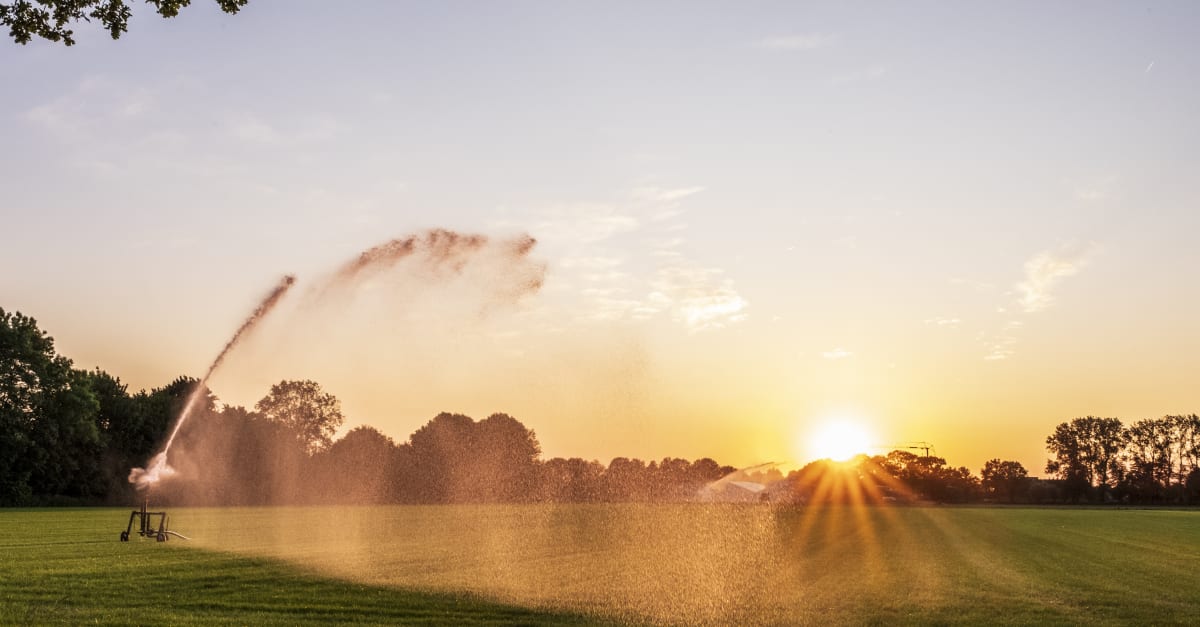 Nóg warmer weer in aantocht: op naar de tropische temperaturen | Hart ...