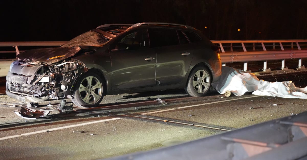 Paard overleden na frontale botsing met auto in Ressen | Hart van Nederland
