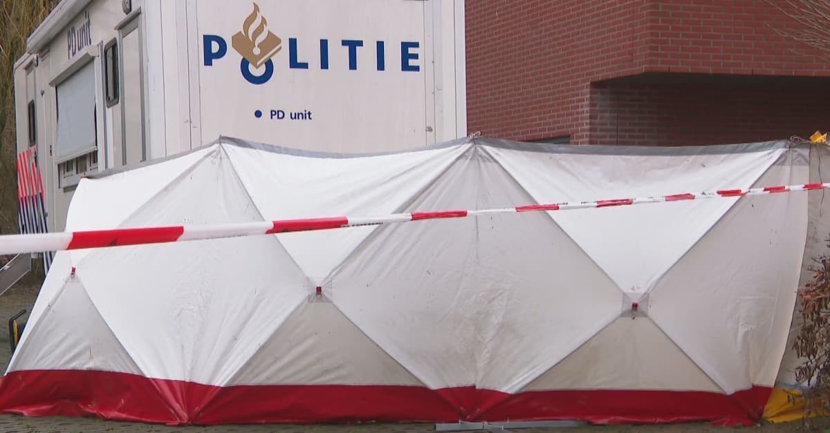 VIDEO: IJzingwekkende schreeuw om hulp na dodelijke steekpartij ...