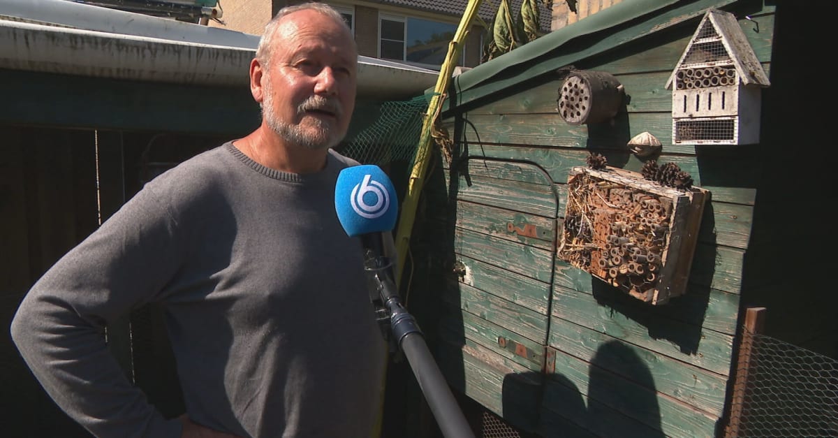 Jago uit Best lokt loslopende nerts met doodgebeten kip | Hart van ...