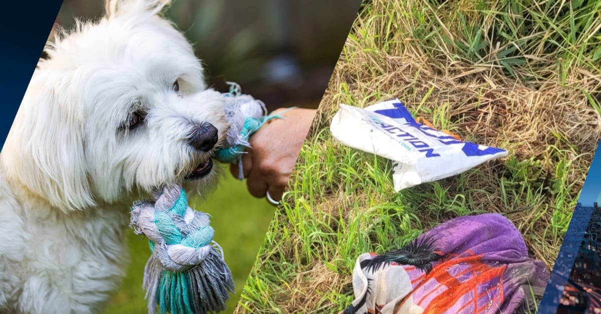 Dode hond gevonden in Action-tas tussen het riet in Utrecht | Hart van ...