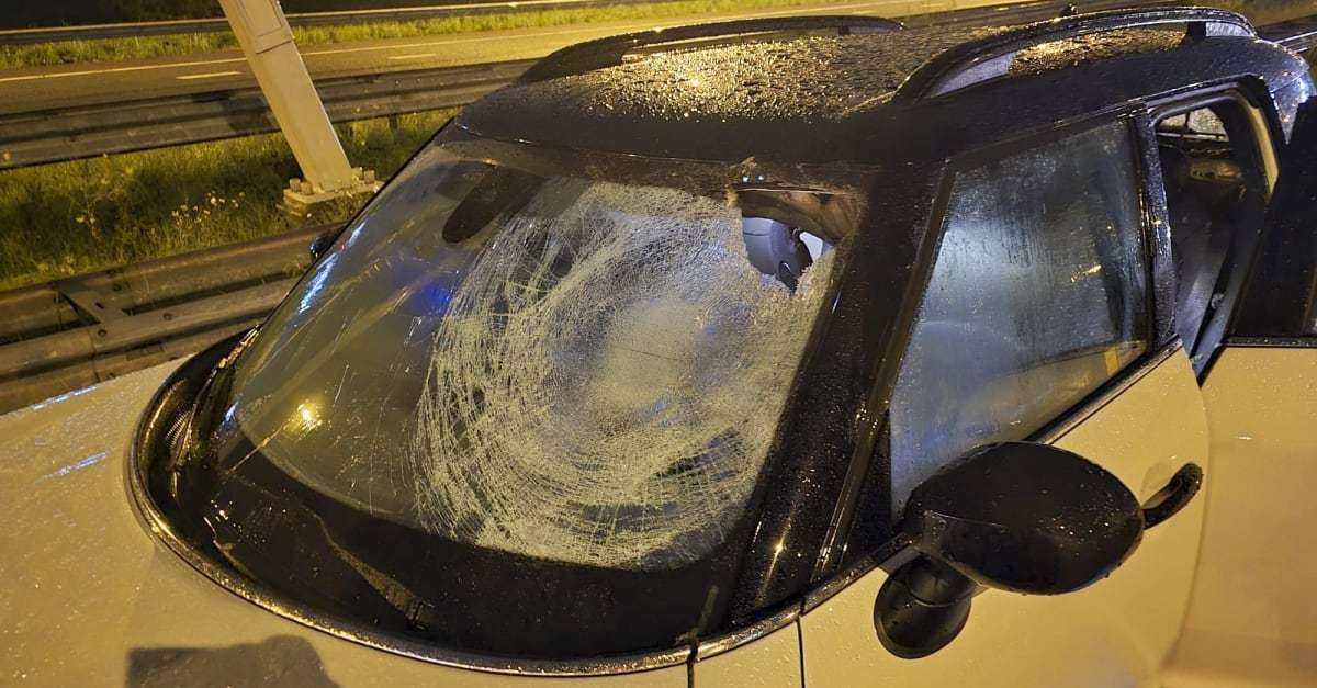 Gans vliegt door voorruit auto op A4 bij Hoofddorp, vrouw raakt gewond ...