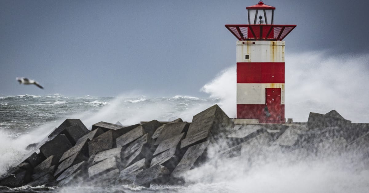 Storm Conall zorgt voor onstuimig weer: windstoten van 120- tot 130 km/uur | Hart van Nederland
