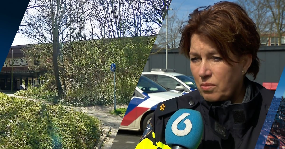 Man aangehouden in zaak toetakeling en mogelijk zedenmisdrijf vrouw (70) | Hart van Nederland