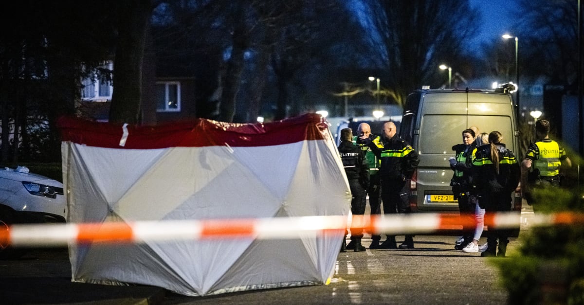 Vrouw (35) doodgestoken, kinderen gewond: dit weten we nu over het drama in Mierlo | Hart van ...