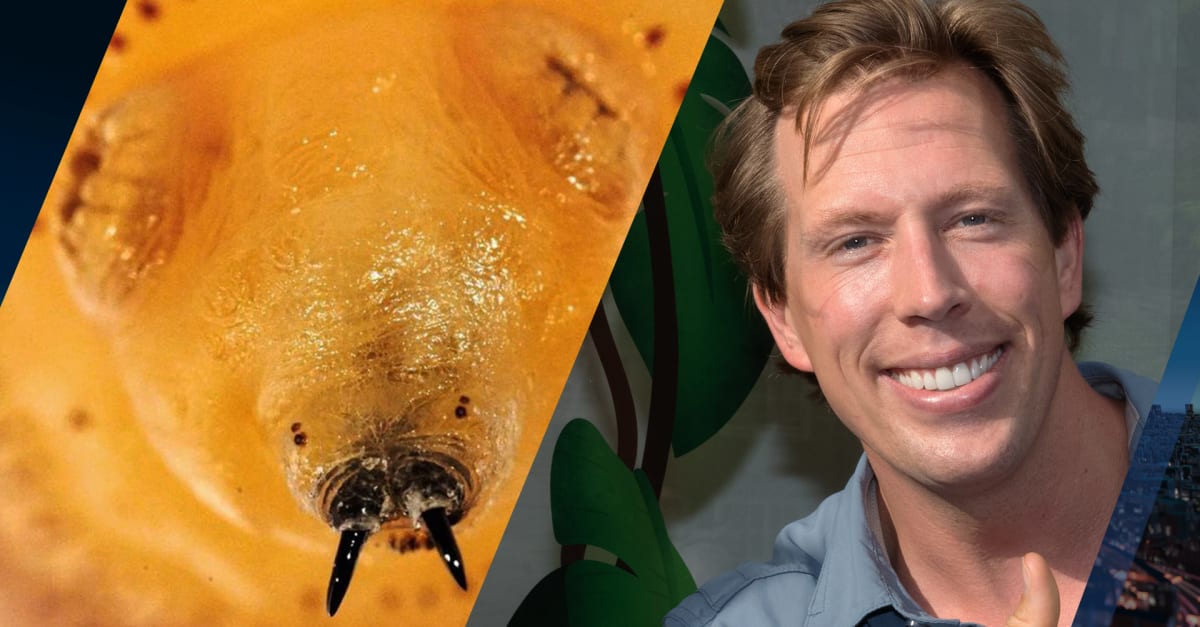 Freek Vonk onthult geslacht larve Kwak in 'horzel gender reveal' | Hart ...