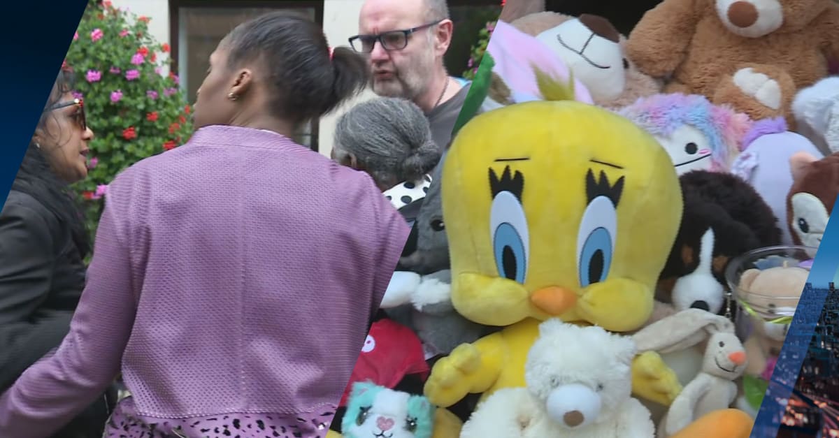 Emotionele bijeenkomst in Vlaardingen voor zwaargewond pleegmeisje: 'Ik hoop dat ze het redt ...