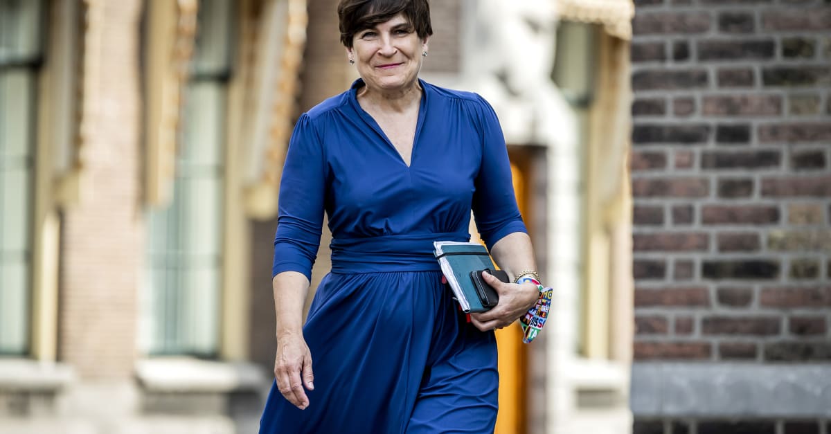 Ploumen: Hoekstra moet stoppen met schijnbewegingen in formatie | Hart van Nederland