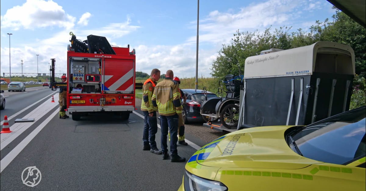 Dodelijk ongeval: Paard zakt op snelweg door trailer en sterft