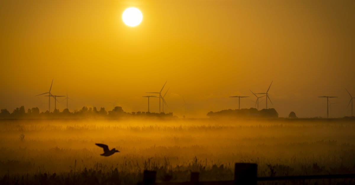Opnieuw stralend weer, volgende week ook veel zon | Hart van Nederland
