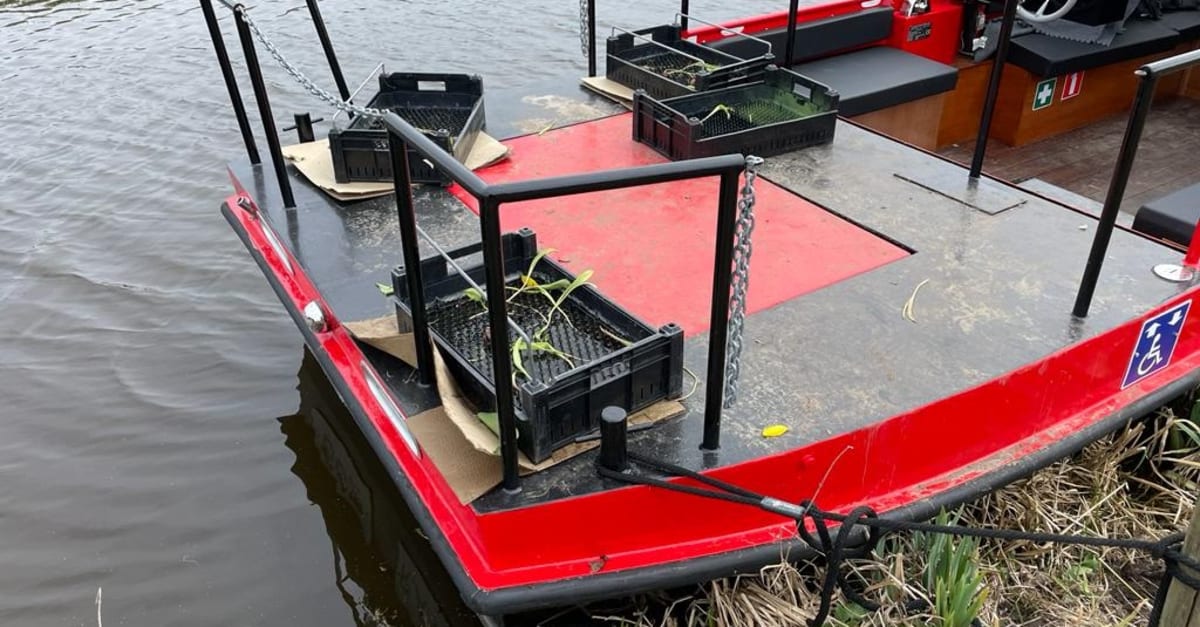 Bloemenboot in Noordwijk is nu gewoon 'Boot': alle tulpen gestolen door ...