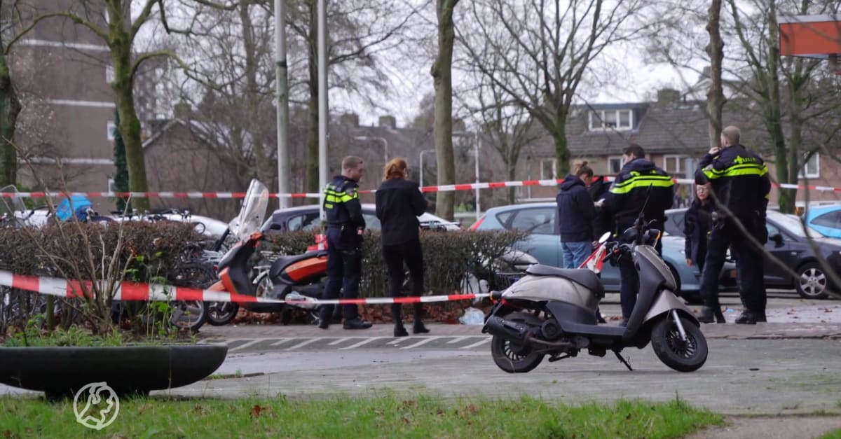 Na klopjacht van uren verdachte opgepakt voor dodelijke schietpartij Zwolle | Hart van Nederland