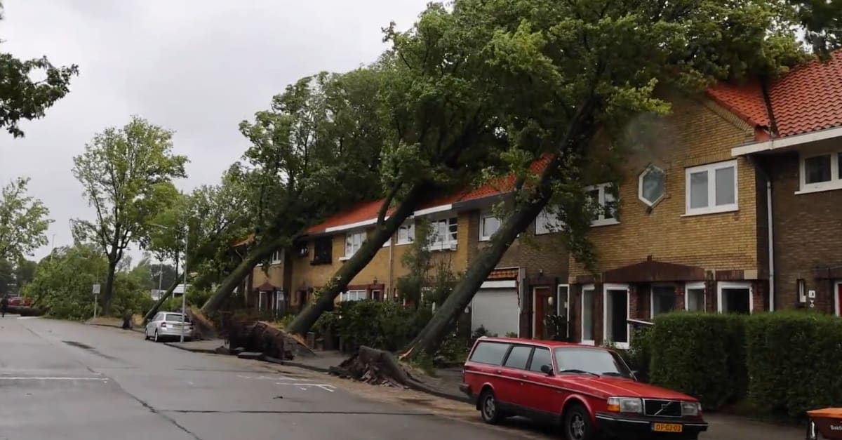 Schade door storm Poly? Dit is waarvoor je (niet) verzekerd bent | Hart ...