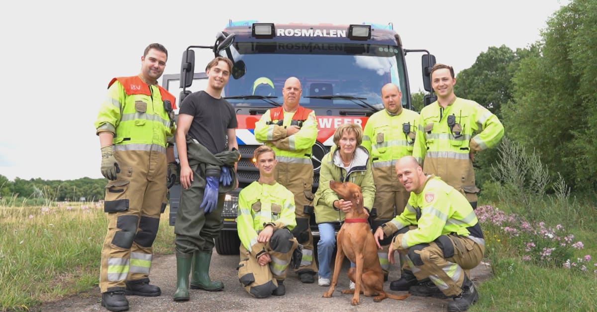 Hond Bèla vast in sloot bij Rosmalen, brandweer redt viervoeter uit ...