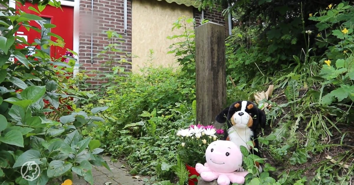 Auto van pleegouders zwaargewond meisje Vlaardingen beschadigd en weggetakeld | Hart van Nederland