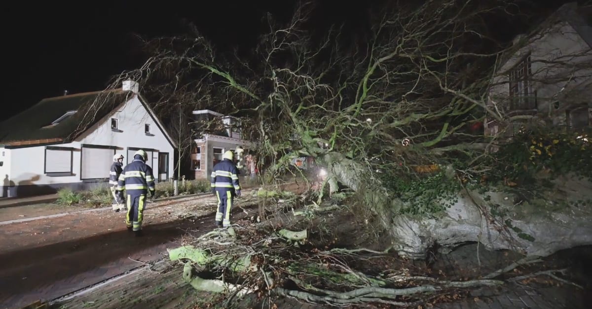 Schade door zware storm Conall: fietser (19) overleden, auto knalt op ...