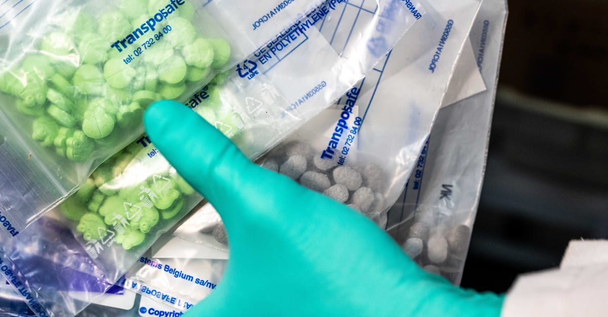 'Nederlandse influencer opgepakt met 150 kilo xtc in Frankrijk' | Hart ...