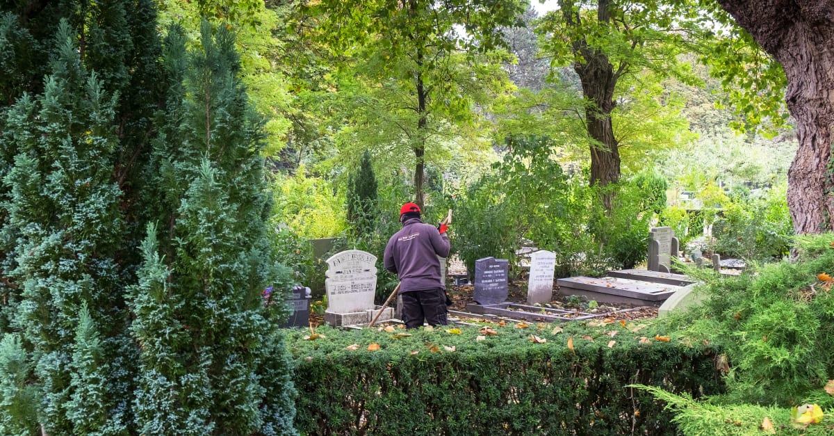 Bijna 600 mensen meer overleden in één week dan gebruikelijk | Hart van ...