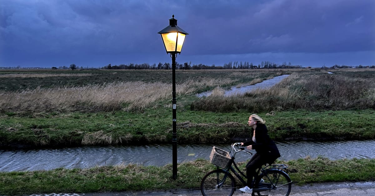 Pas op: KNMI geeft code geel af voor zware windstoten en buien | Hart van Nederland