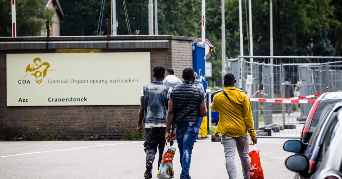 Ambitieus plan: COA wil helft van asielzoekers aan het werk zetten ...
