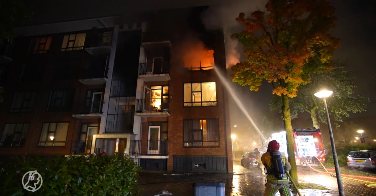 Brandweer redt bewoners uit brandende flat Eindhoven, twee katten overleden