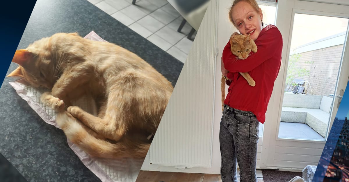 Jong katje van Roselie (14) overleden na beschieting: 'Hij kroop maar ...