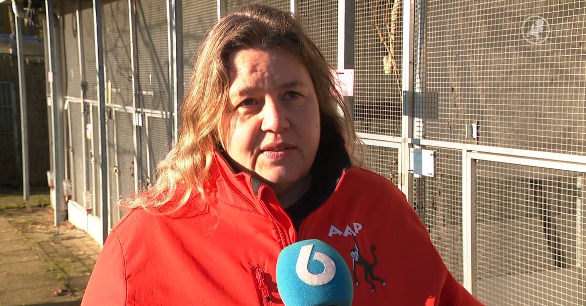 'Het is maar een paar seconden schattig, vervolgens heb je het dier 24 ...