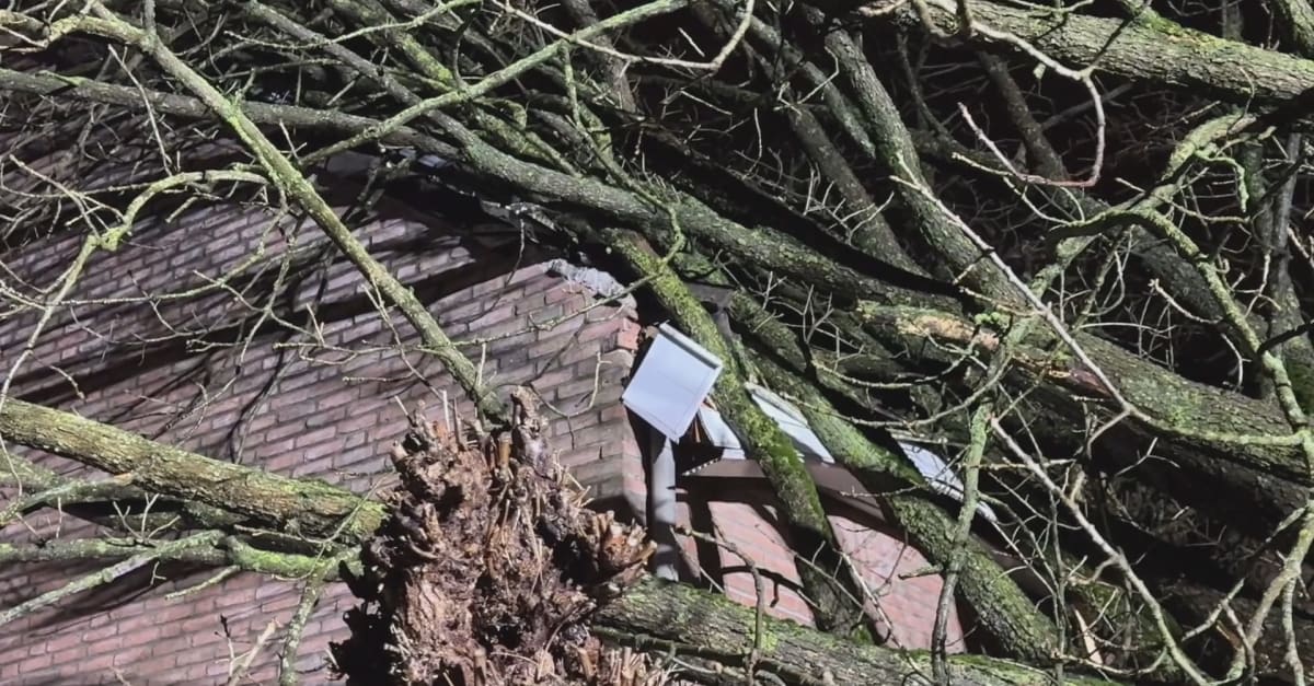 Van kapotte dakpannen tot schade aan auto's: ruim 250 schadeclaims na ...