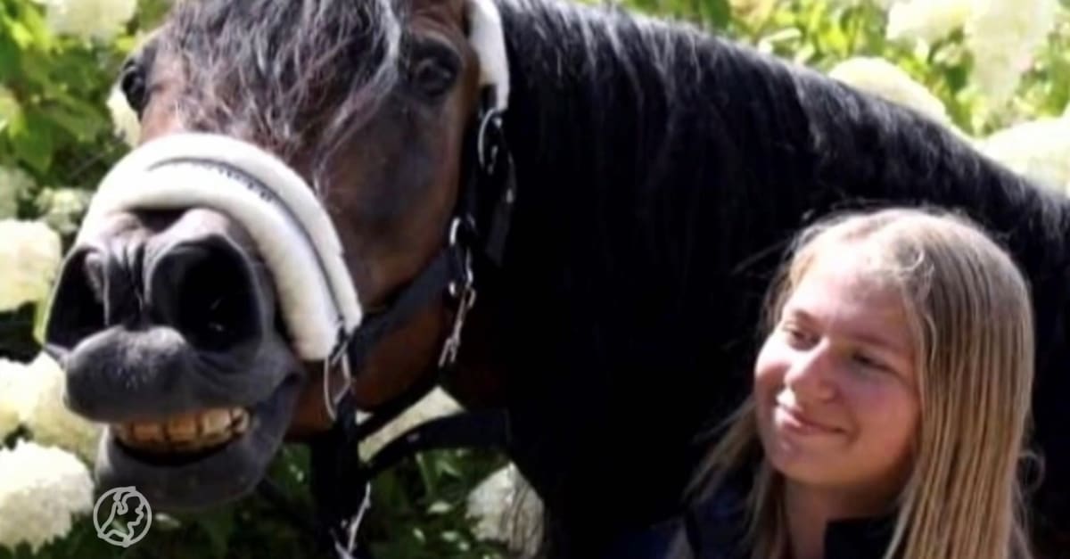 OM eist 14 jaar en tbs tegen turnleraar voor misbruiken en doden Esmee | Hart van Nederland