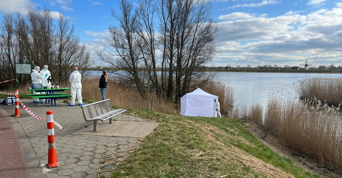 Politie: baby in de Lek geboren na voldragen zwangerschap | Hart van ...