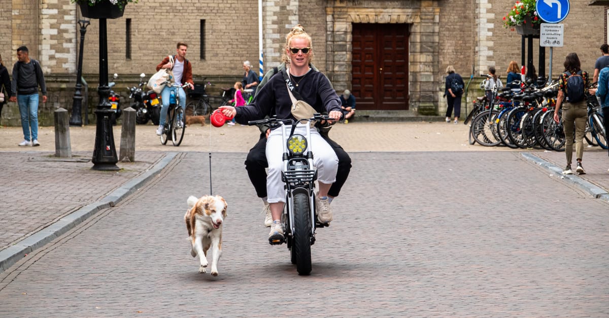Opgevoerde fatbikes 'ronduit gevaarlijk': stil en rijden net zo hard als een auto | Hart van ...