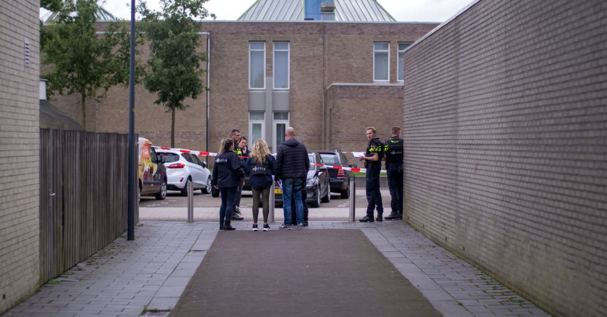 Man neergeschoten in centrum Zeewolde, klopjacht op schutter | Hart van Nederland