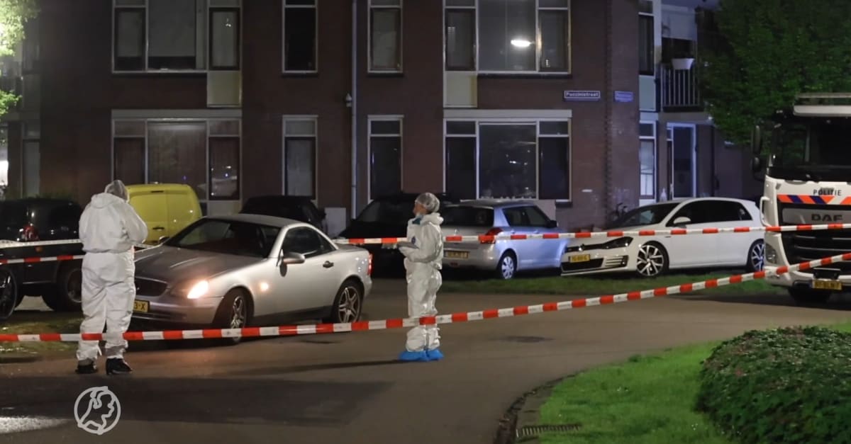 Politie vindt overleden persoon in Den Haag, 49-jarige vrouw aangehouden | Hart van Nederland