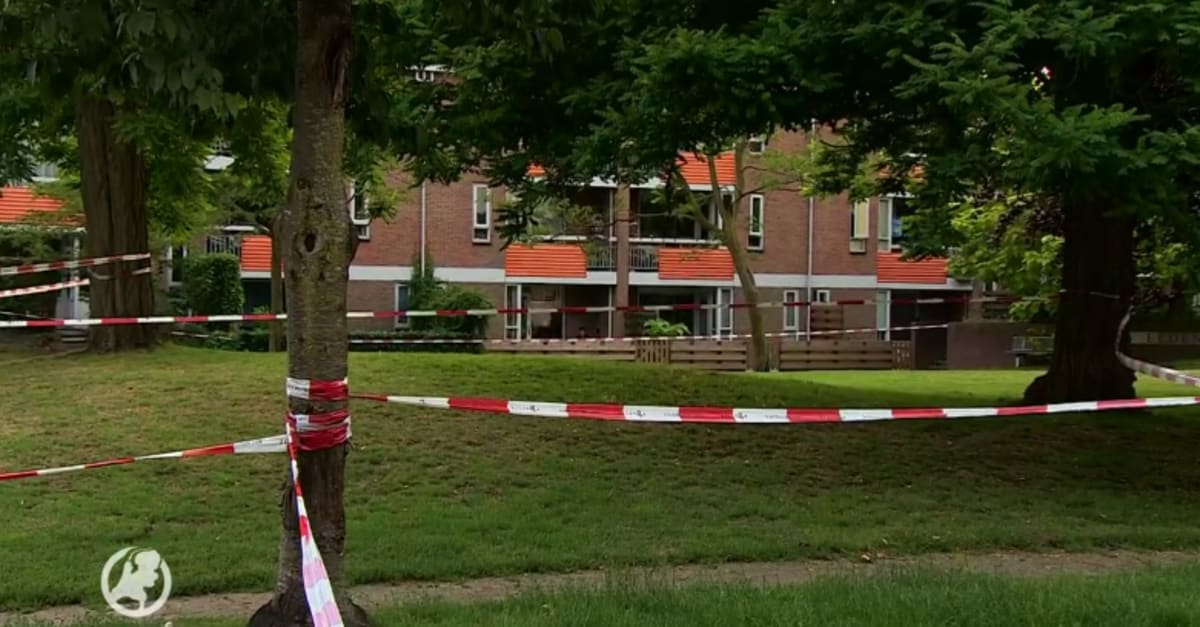 Acht jaar cel en tbs voor doodsteken Esther (29) in Neede | Hart van Nederland