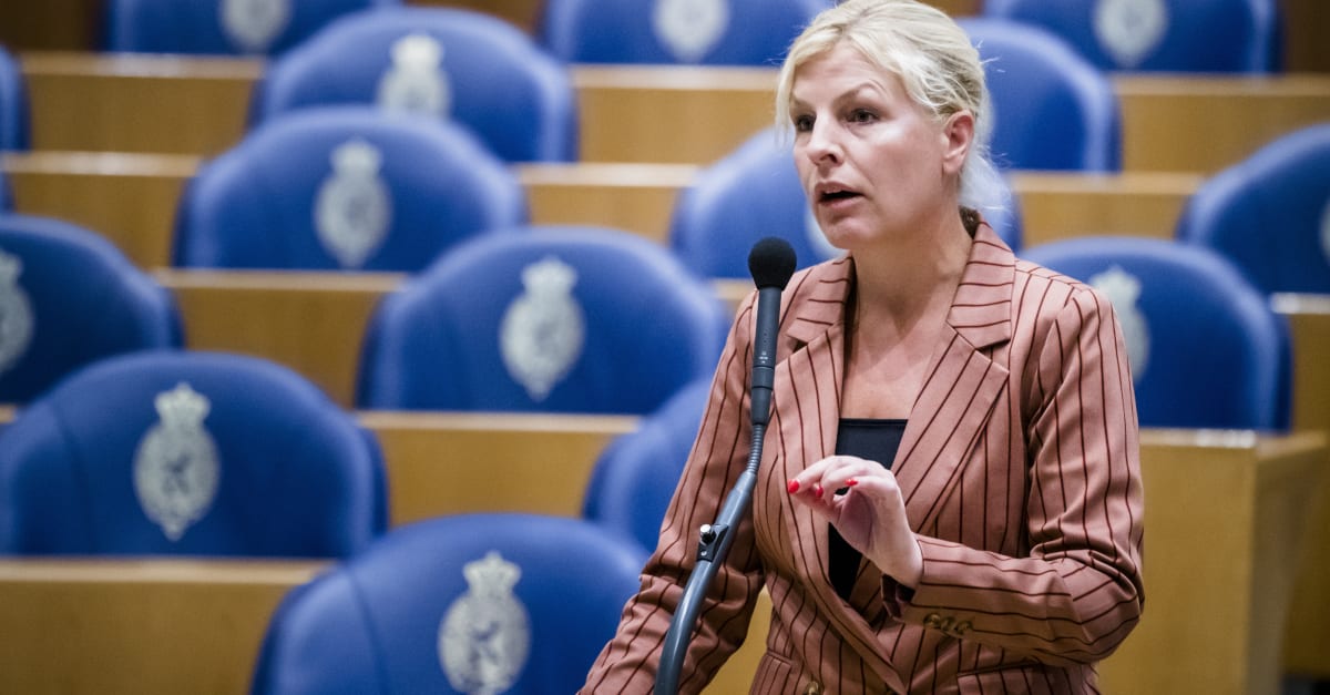 PvdA-leider Attje Kuiken verlaat de Tweede Kamer na de verkiezingen ...