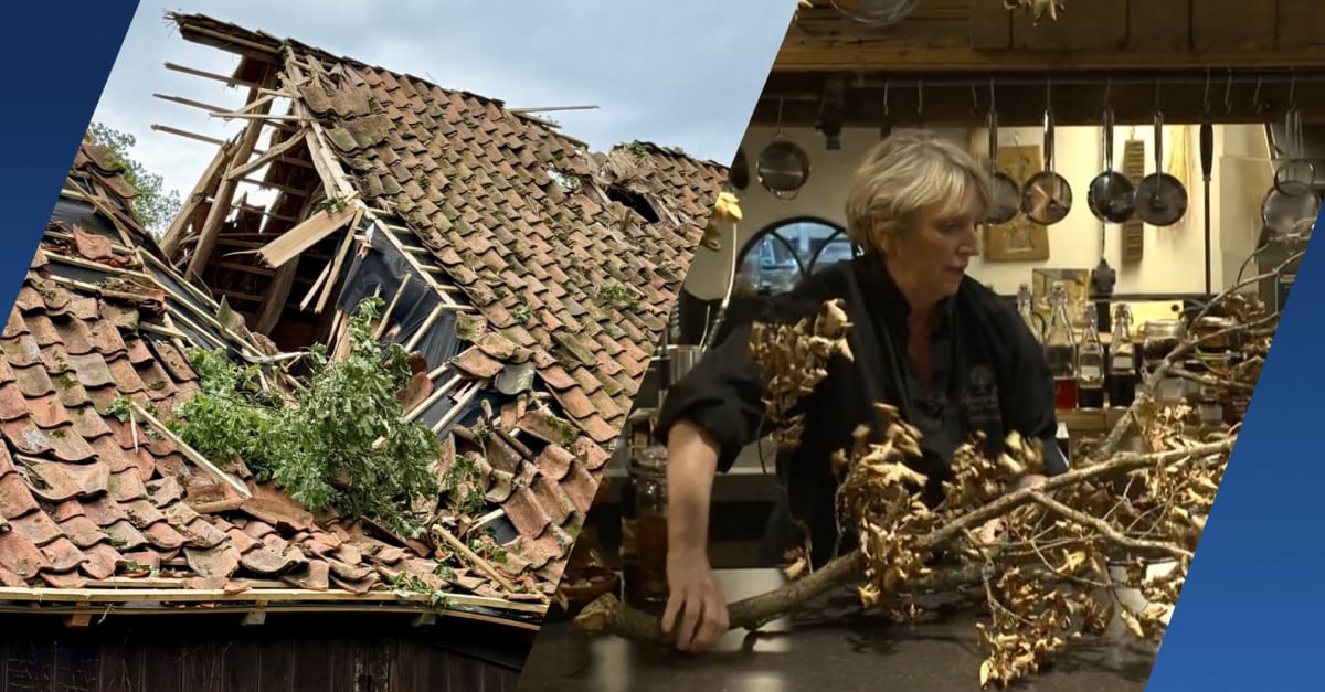 Nel’s erf verwoest door storm Winterswijk, nu eet ze omgevallen boom op ...