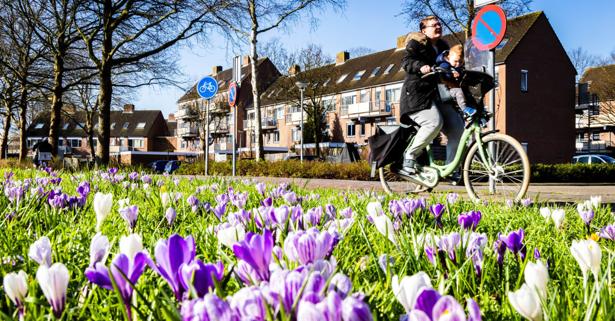 Na regen komt zonneschijn: droog en zonnig weekend voor de boeg | Hart ...