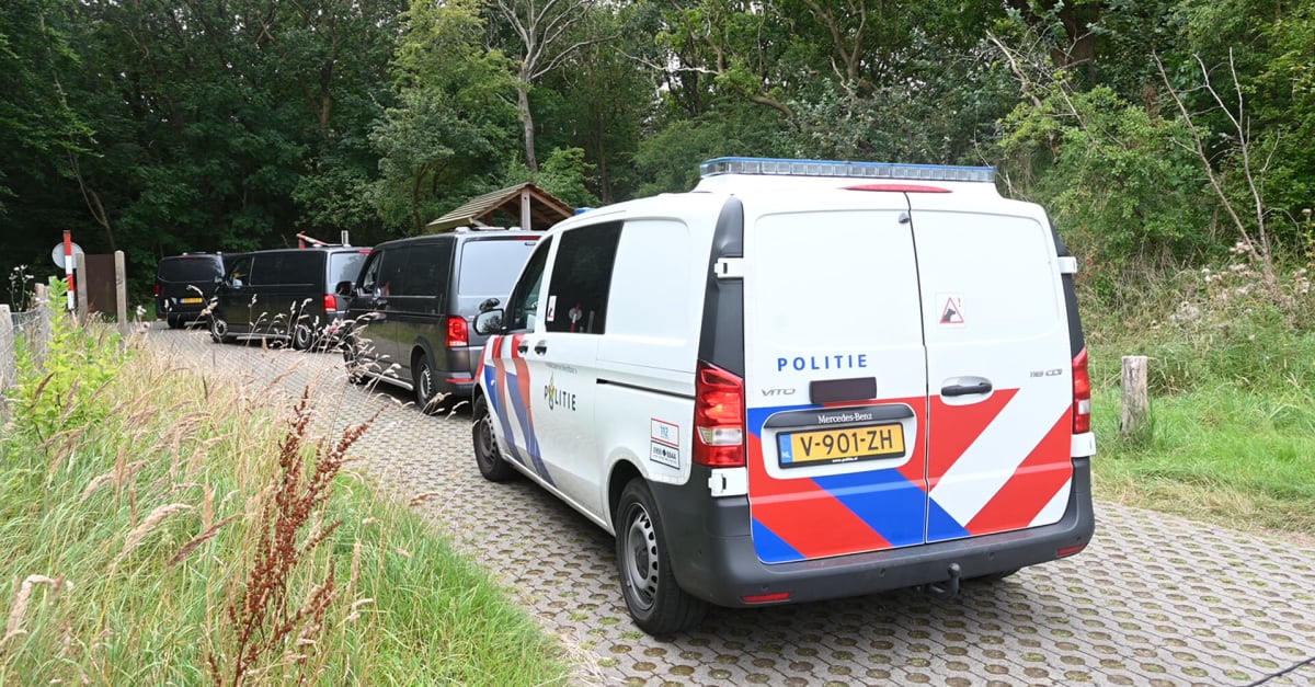 Politie voert grote zoekactie uit naar vermiste man (58) in duinen Bergen | Hart van Nederland