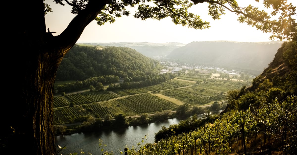 Boot van schipper Gerrit met kerst niet thuis: tientallen vrachtschepen ...