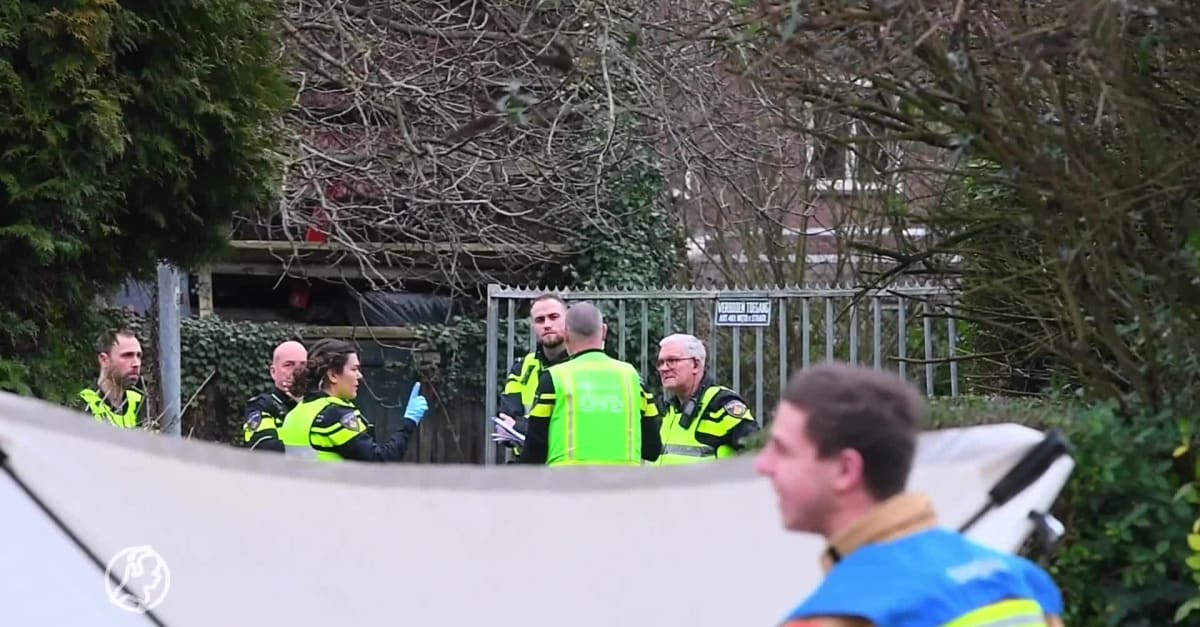 Eis 2 jaar cel en jeugd-tbs voor doodsteken 18-jarige in Bladel | Hart van Nederland