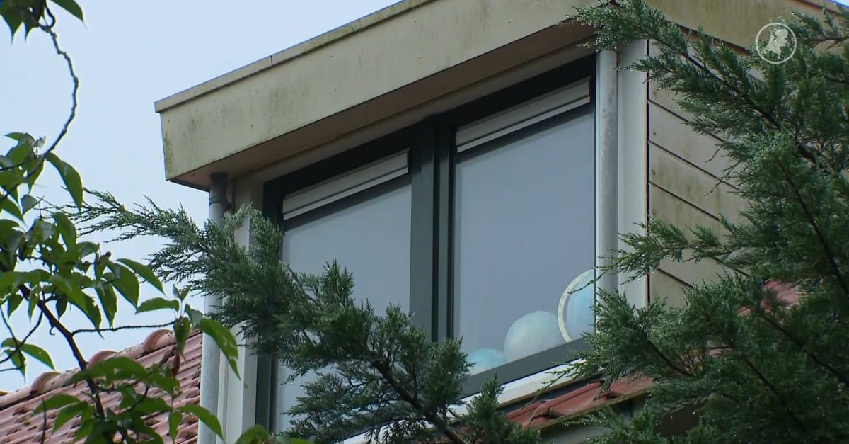 Vernietigend rapport over Vlaardings pleegmeisje: voor het leven getekend