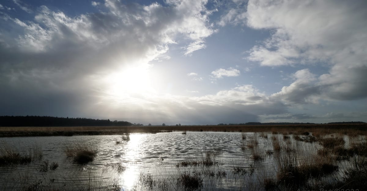 Veel regen deze week, maar volgende week weer zonnig nazomerweer | Hart ...