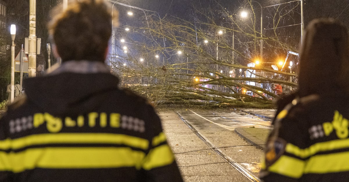Code geel: KNMI waarschuwt voor zware windstoten tot 120 km/uur | Hart van Nederland