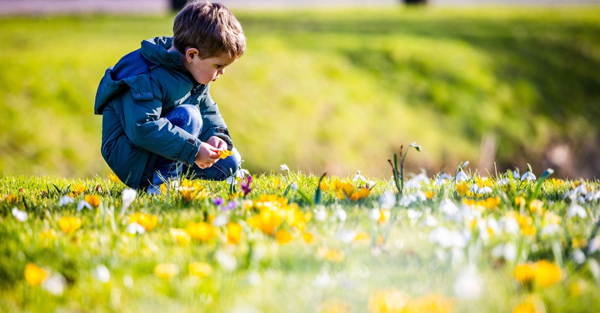 Grote weersomslag op zondag: van koud naar zwoel weer met warme nachten ...