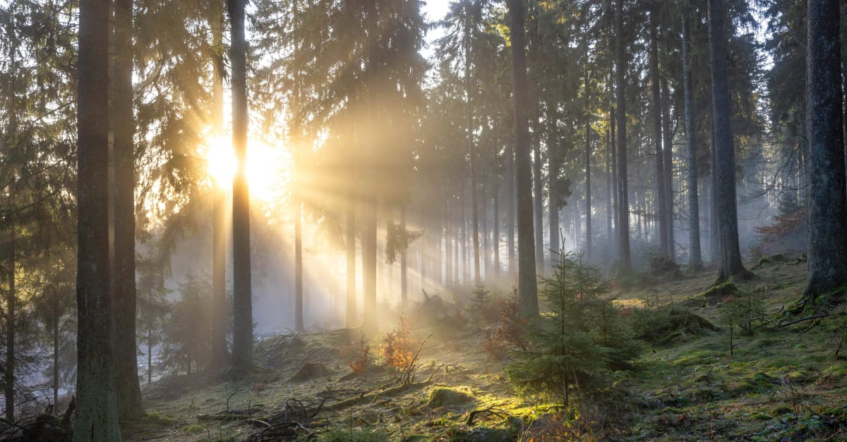 Rustiger weer na storm Conall: droog en zonnig weekend op komst | Hart ...