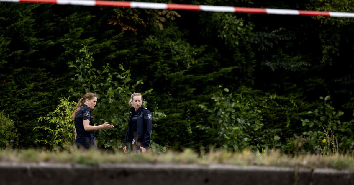 Man (22) vast voor dood Lisa (17), ook verdachte zedenzaak Weesperzijde | Hart van Nederland