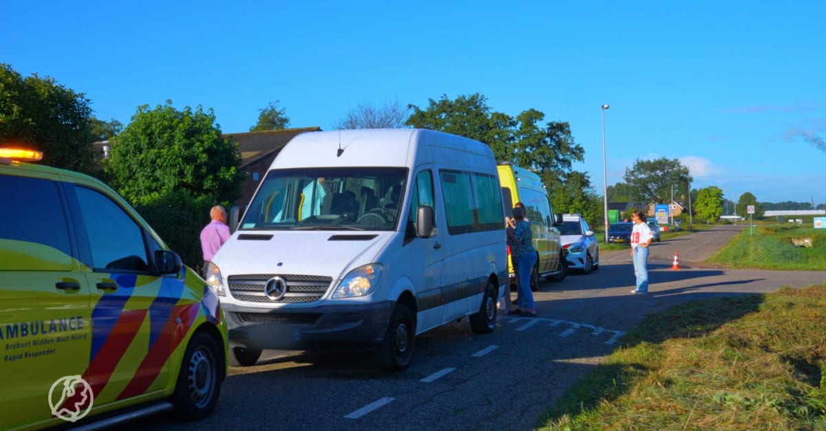 Vrouw zwaargewond na ernstige aanrijding tijdens uitlaten hond in Elshout | Hart van Nederland