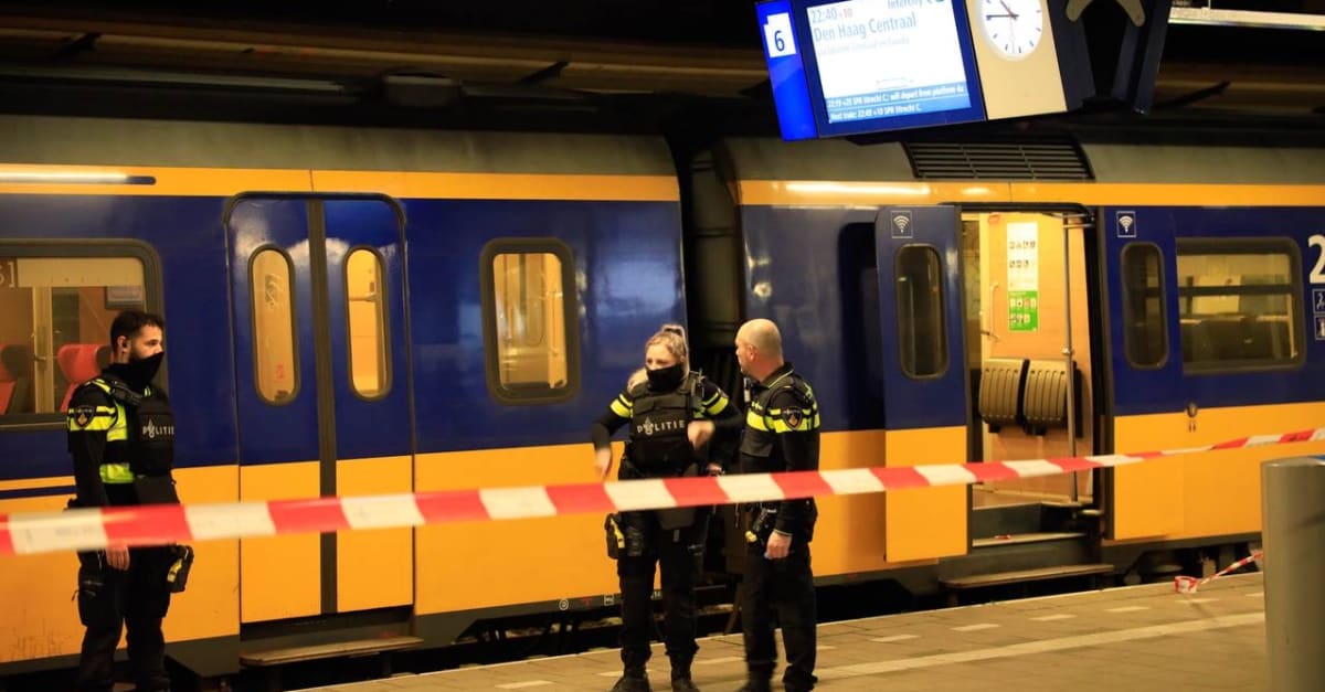 Man bedreigt treinreiziger met vuurwapen, politie lost schot op Amersfoort Centraal | Hart van ...
