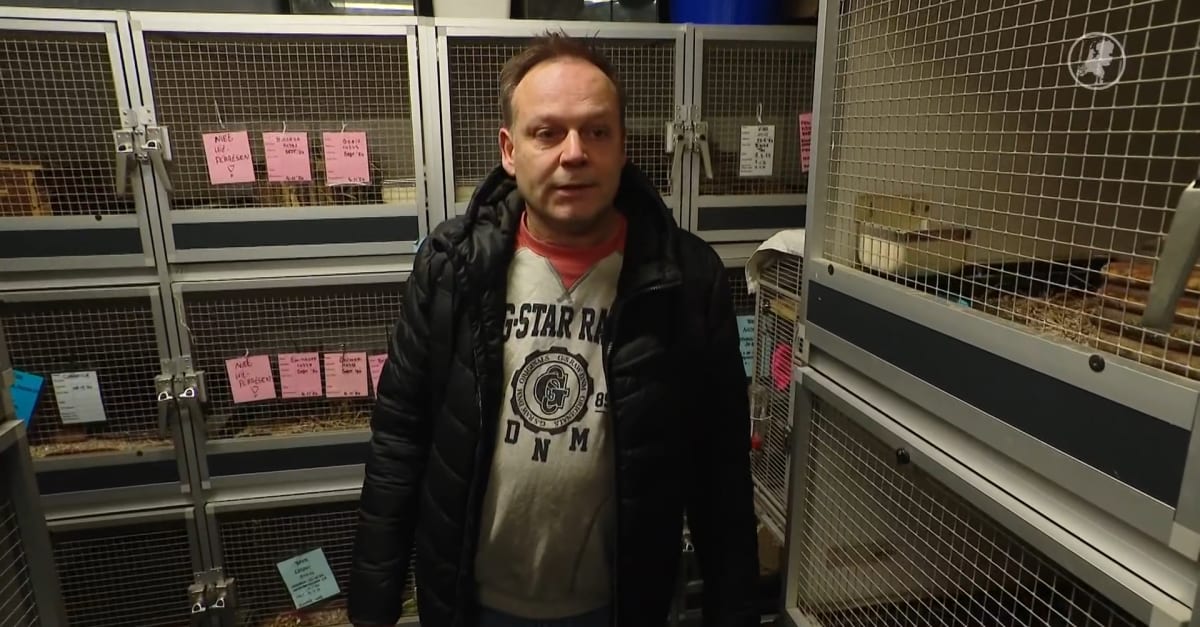 Dierenopvangcentra Flappus vreest gevolgen van hogere btw