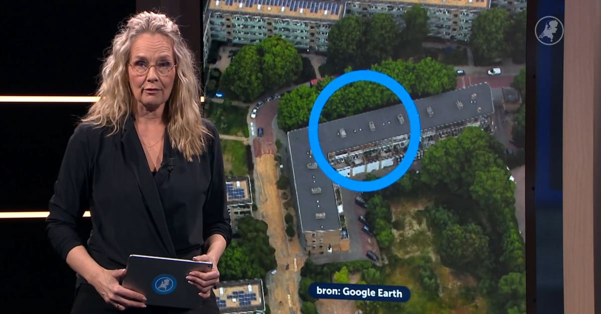 Dit weten we nu over de gebeurtenissen van zaterdag op de Tarwekamp in ...
